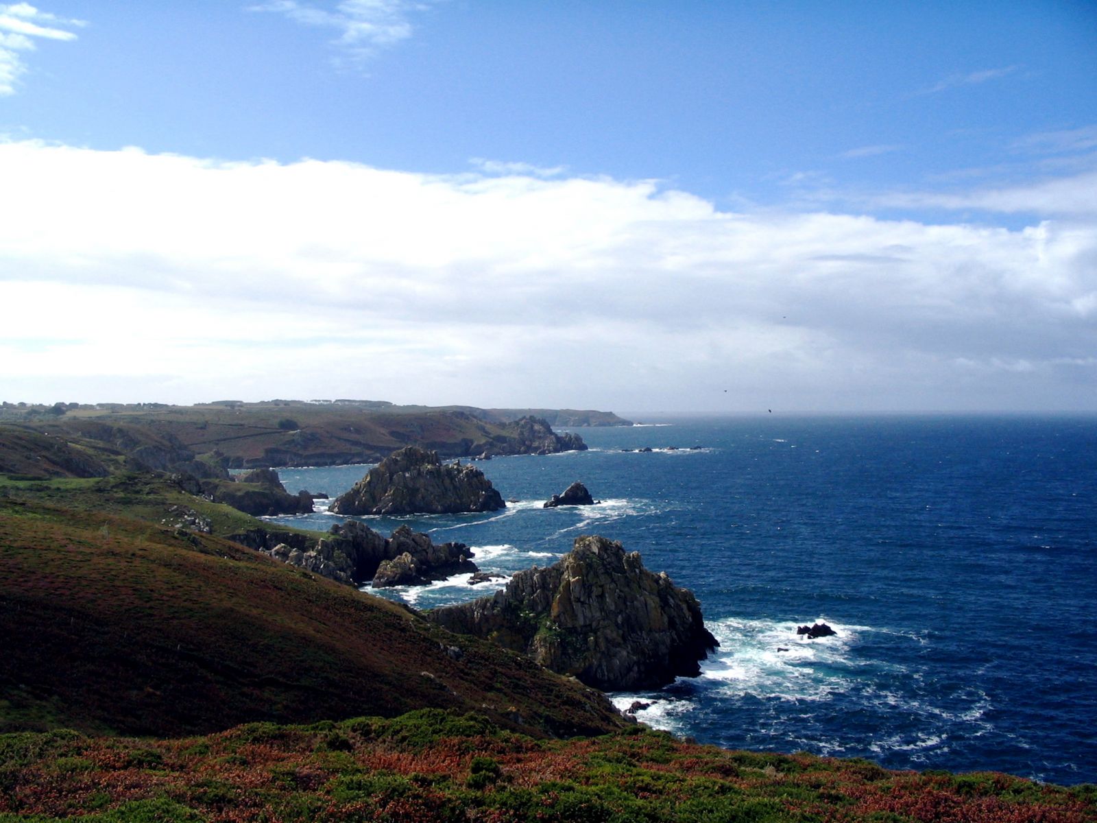 La Réserve du Cap Sizun près d'Audierne dans le Finistère